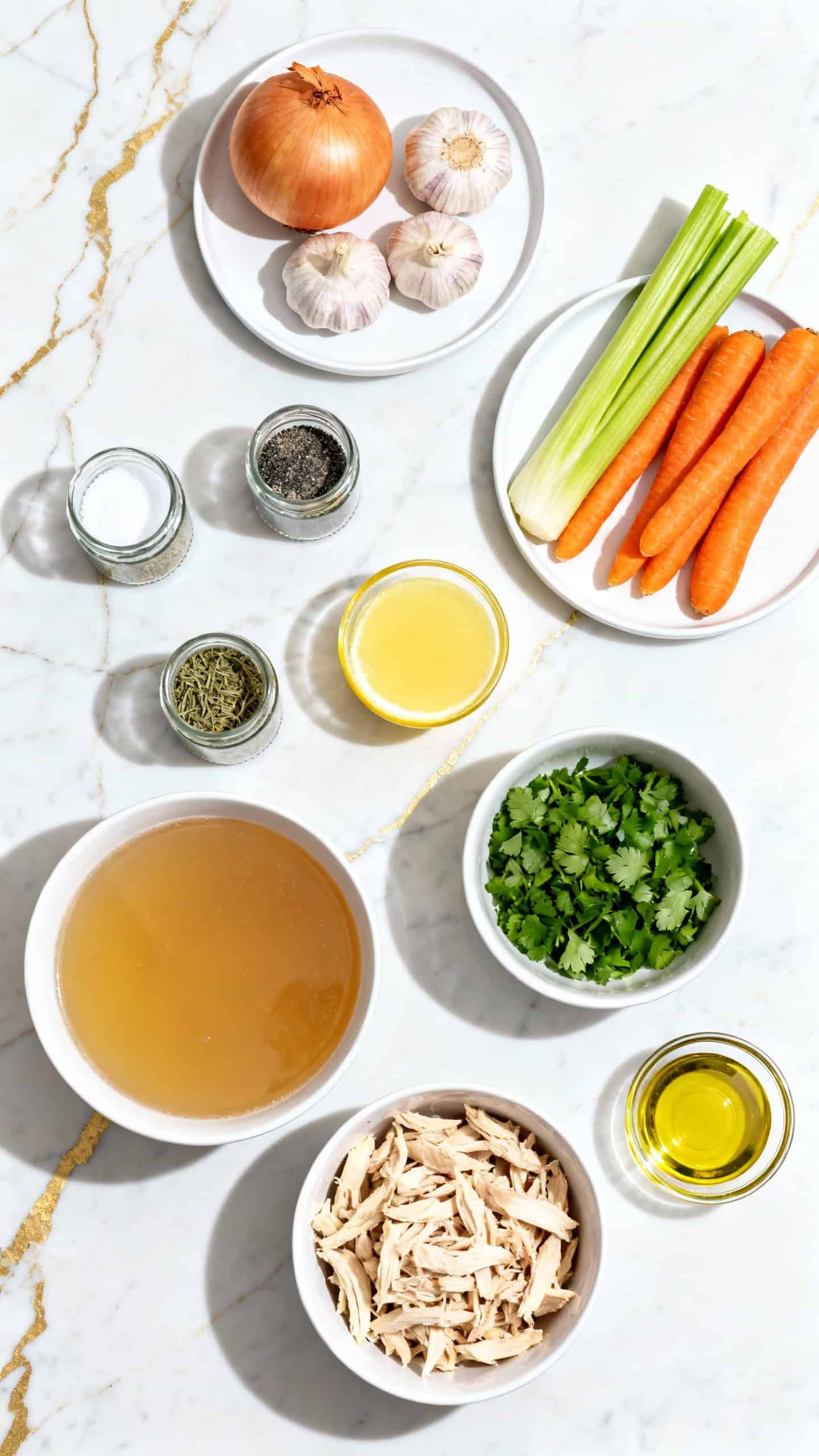 Bone Broth Chicken Soup